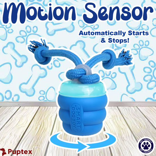 Spin Tug™ - Interactive Dog Toy – Puptex
