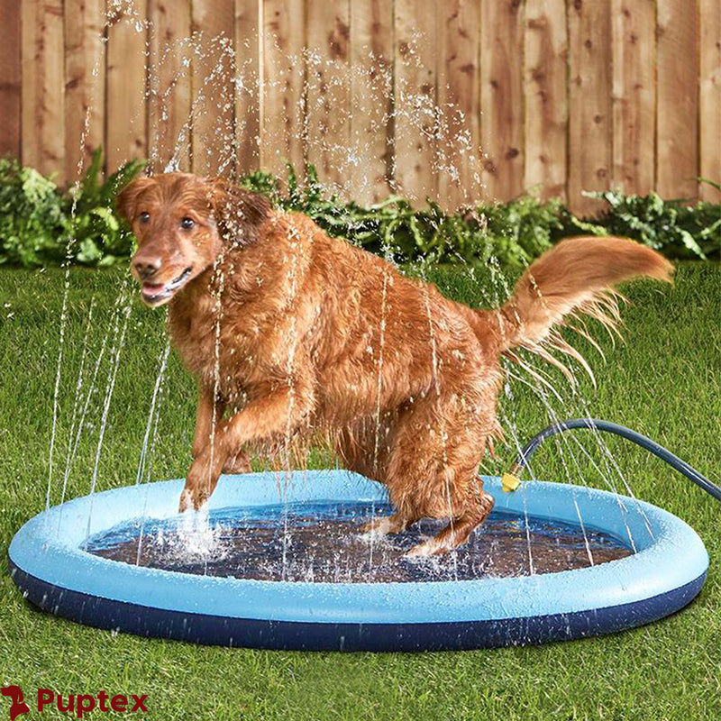 Sprinkly™ - Dog Sprinkler Pool – Puptex
