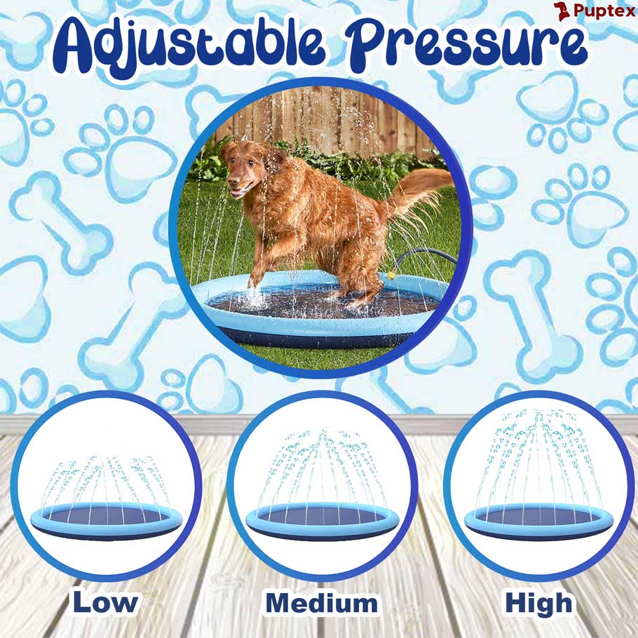 Sprinkly™ - Dog Sprinkler Pool – Puptex